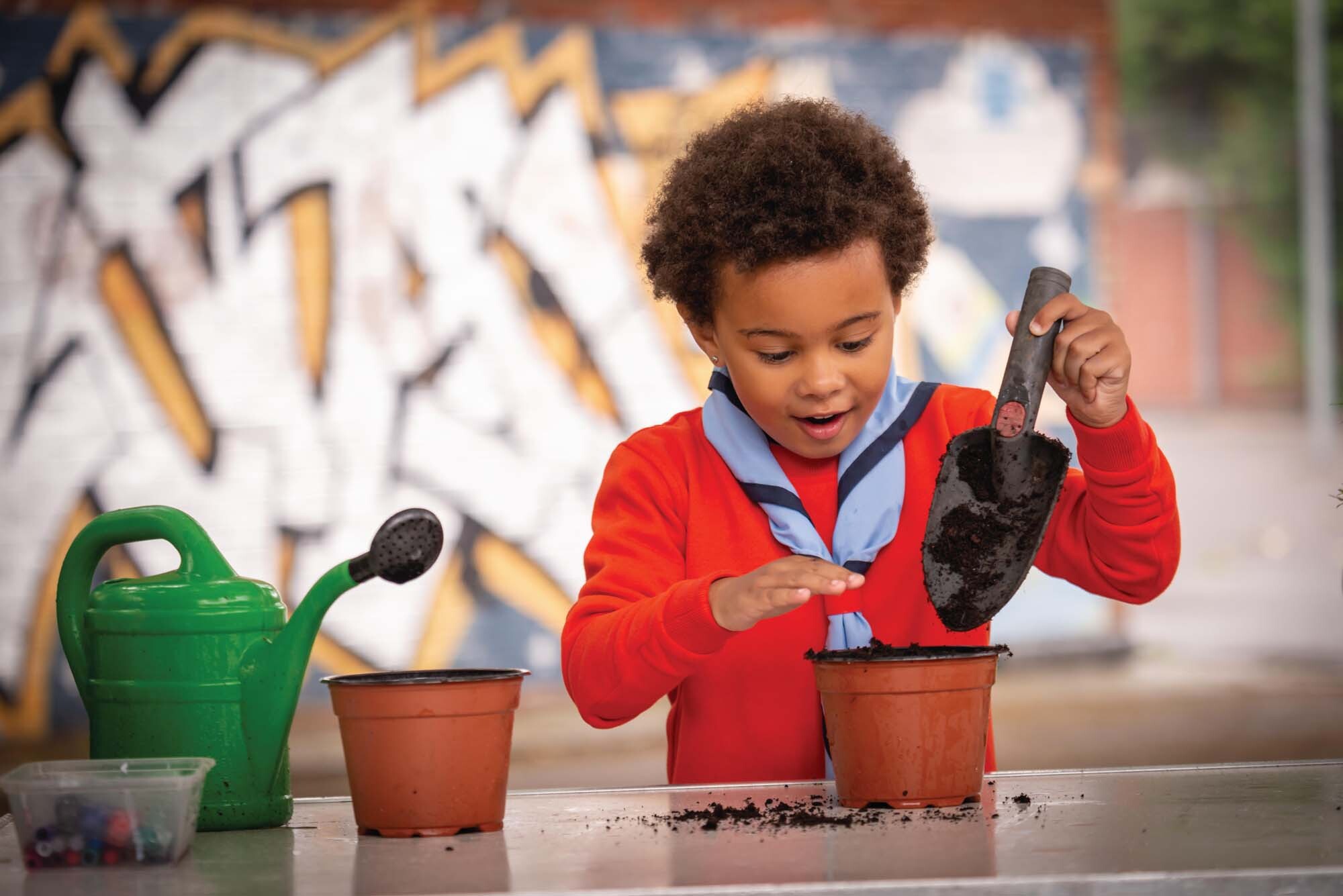 Dorking Scouts District | Skills for Life