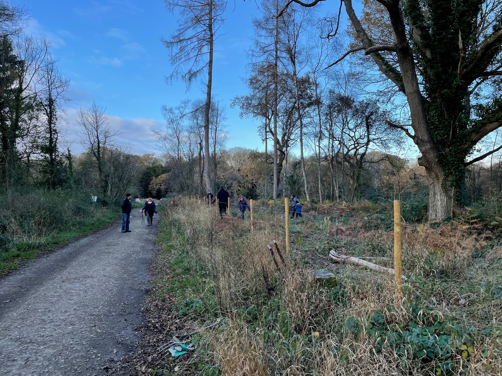 Ranmore Campsite | Dorking District